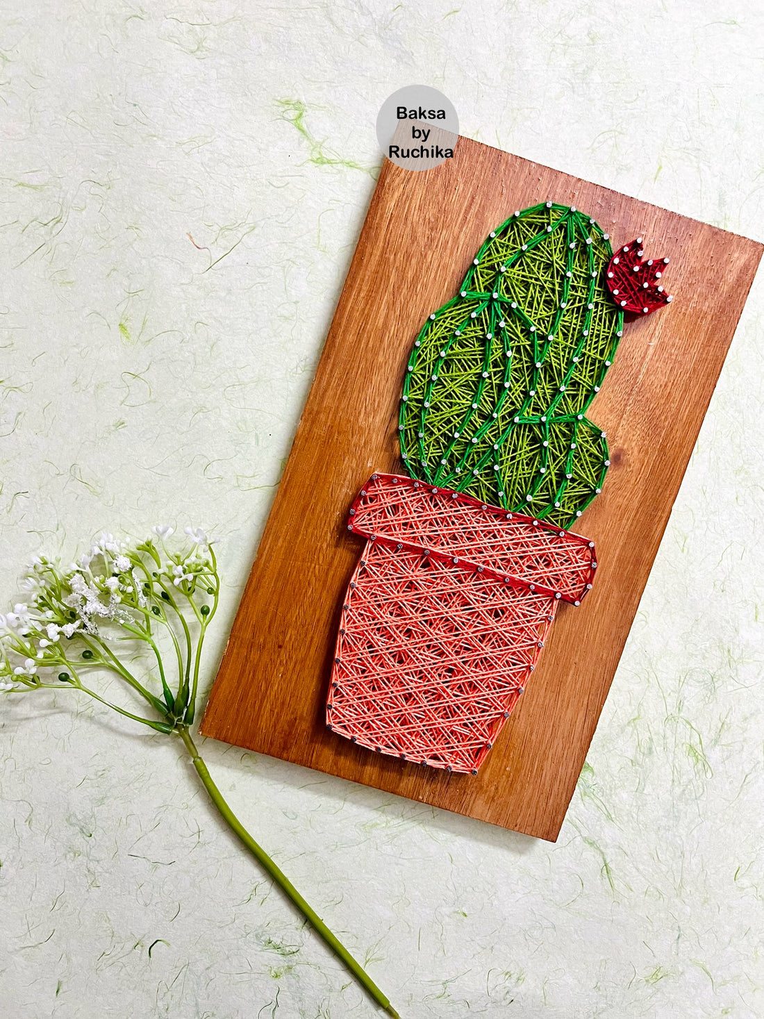 Cactus String Art – baksabyr